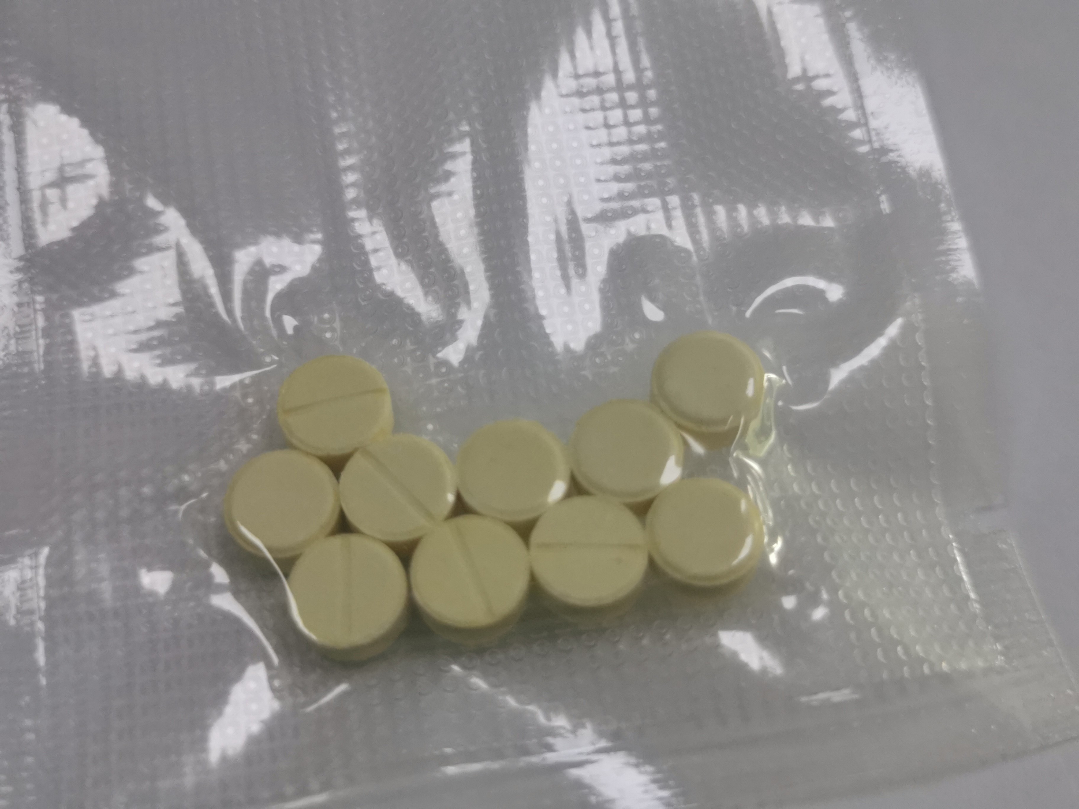 40mg GS-441524 Tablets Oral Form For Cat FIP Cure CAS 1191237-69-0